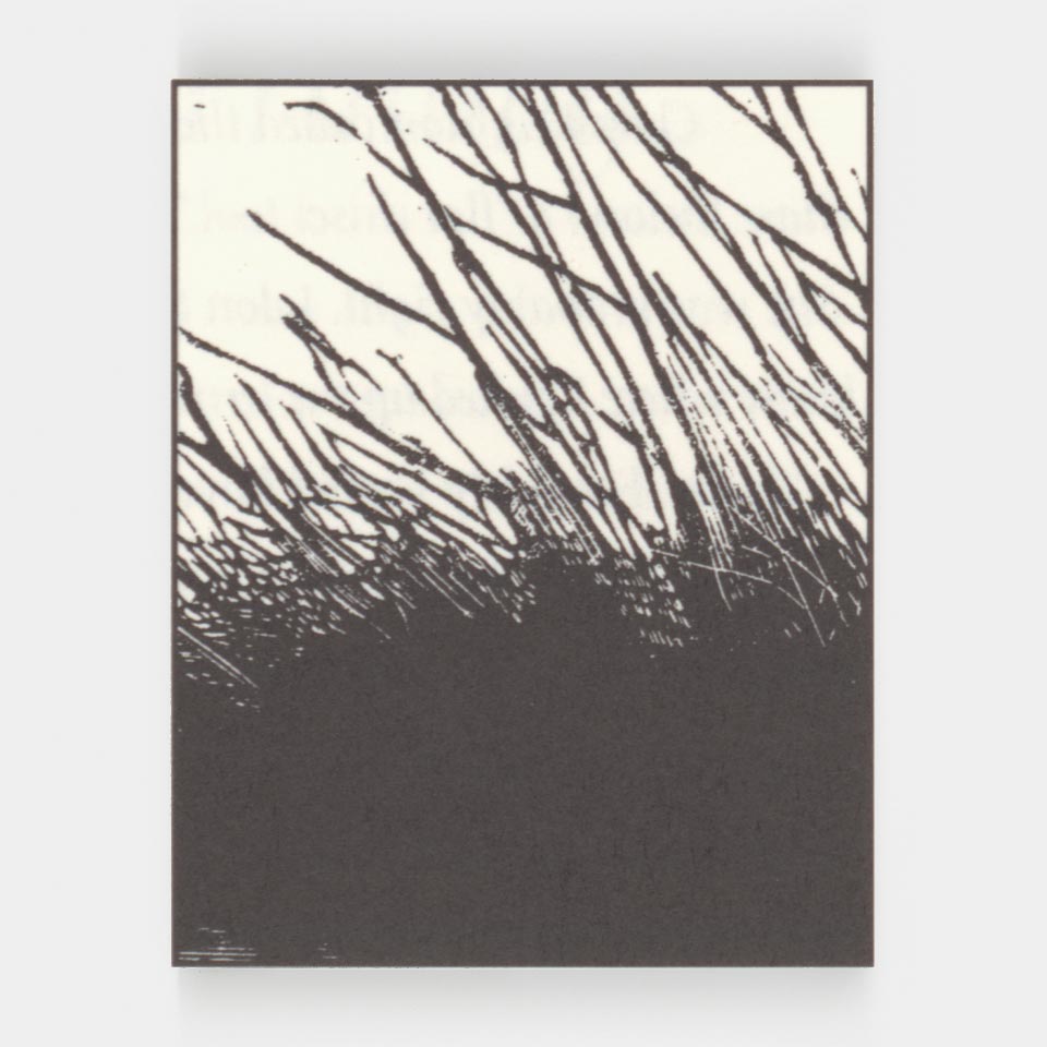 Barry Moser’s Wood Engraving: The Boston Book Launch – Katherine Small ...